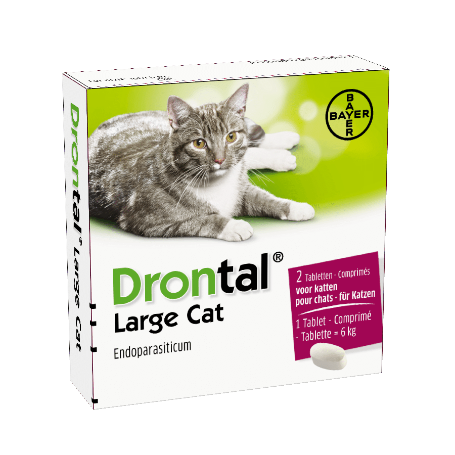Drontal Cat kopen? Al 15 jaar ervaring!