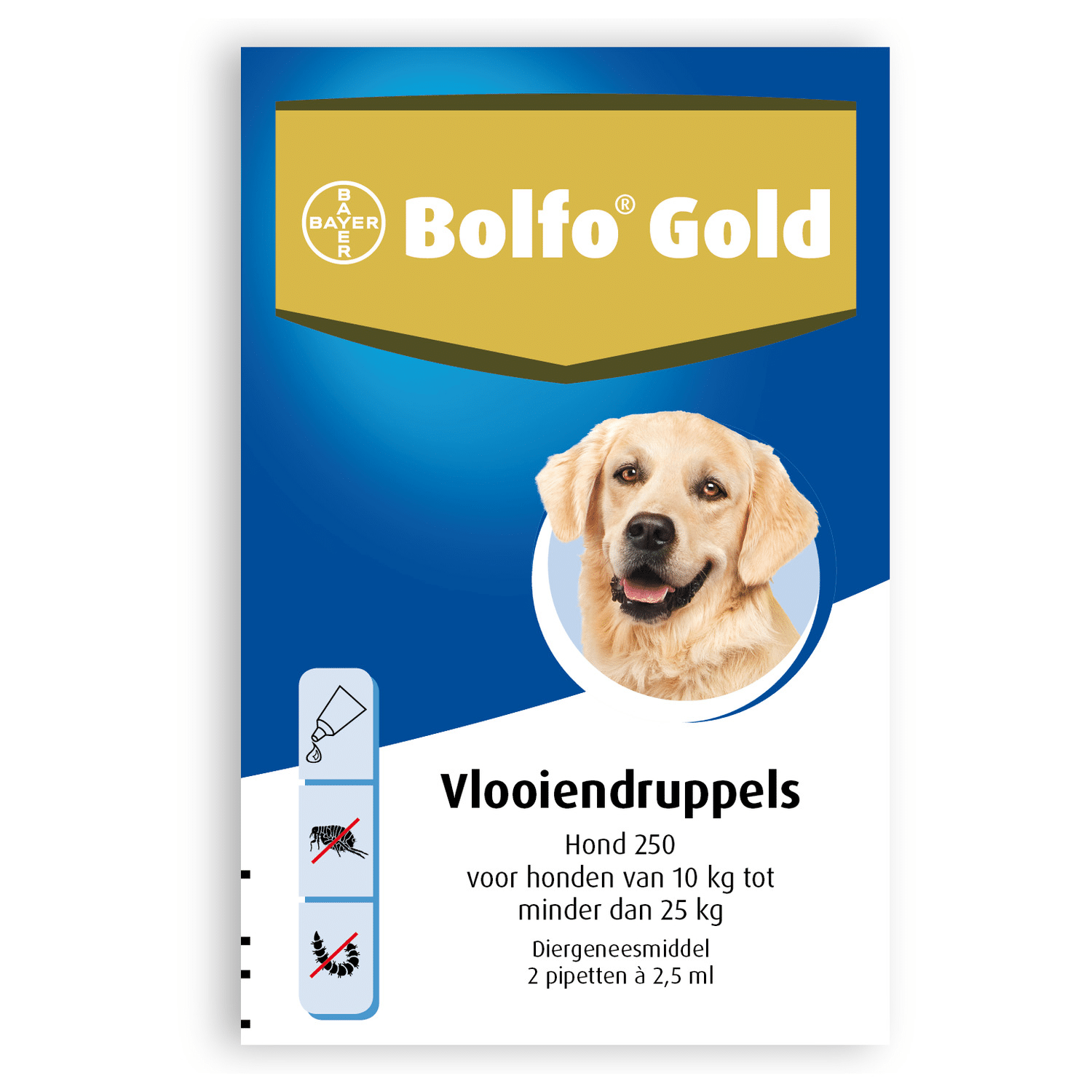 Bolfo Gold Hond kopen? Veilig en betrouwbaar bestellen!